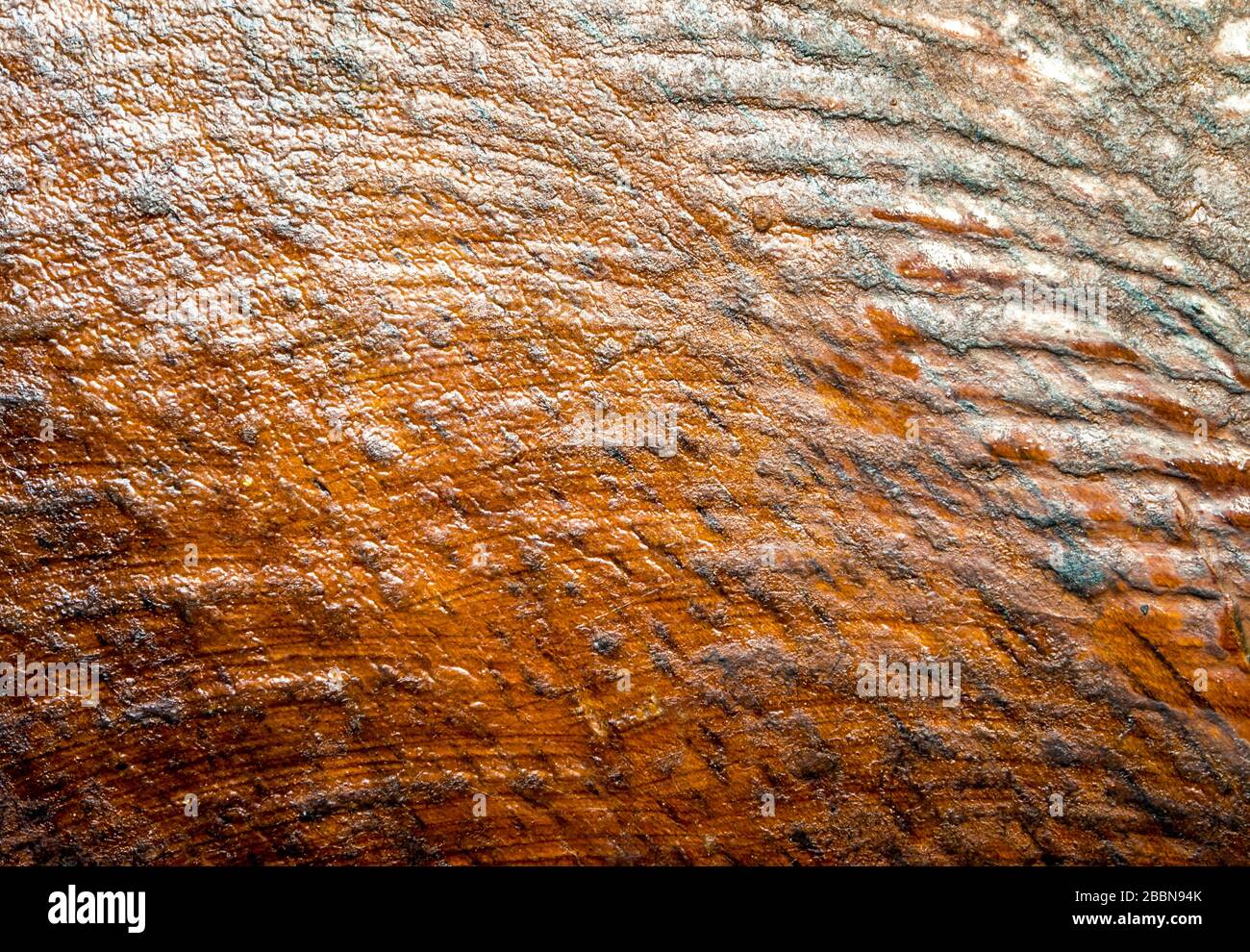 Detail of old stump surface , wood texture Stock Photo - Alamy