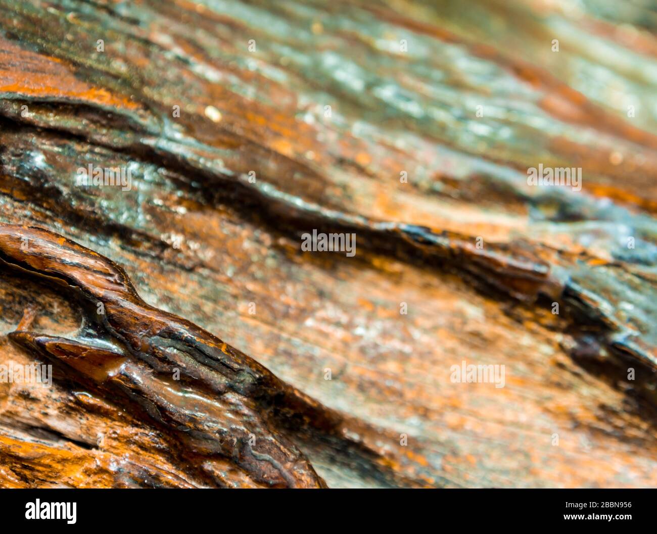 Detail of old stump surface , wood texture Stock Photo - Alamy