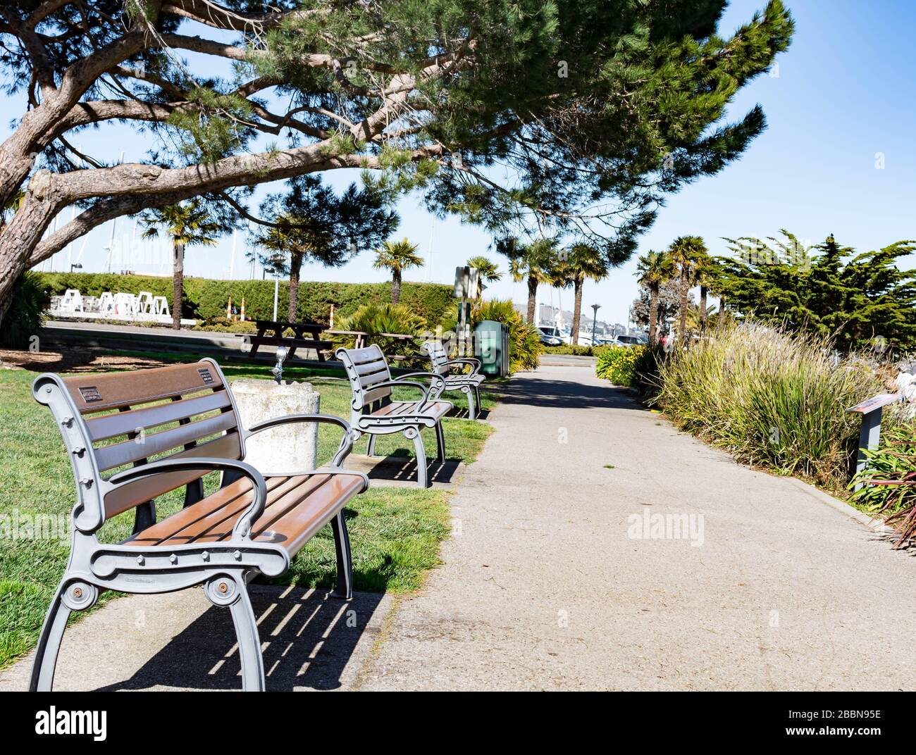 Sausalito bay area and park in San Francisco California, USA, March 31 ...