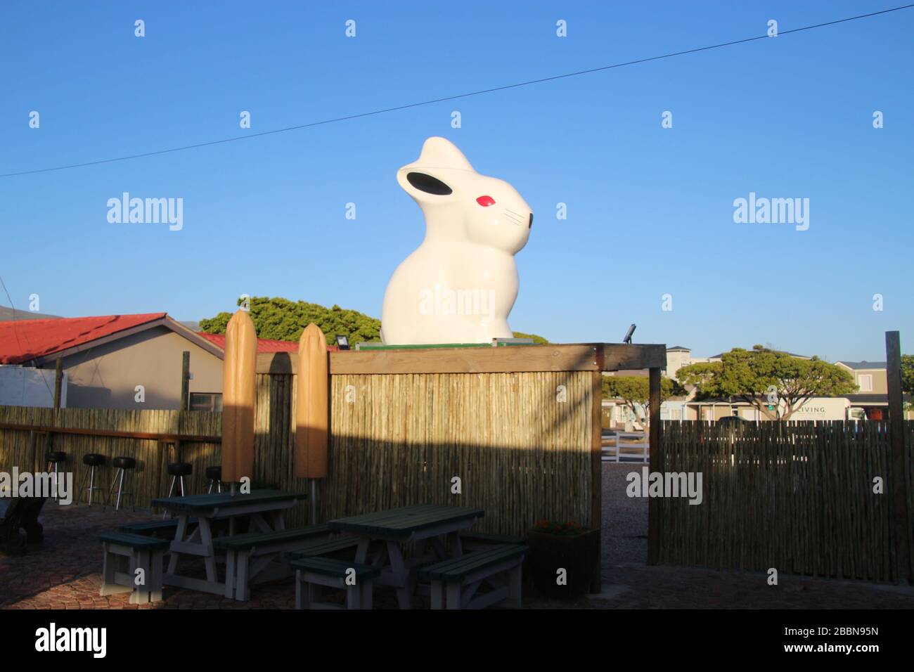 Harvey the rabbit hi-res stock photography and images - Alamy