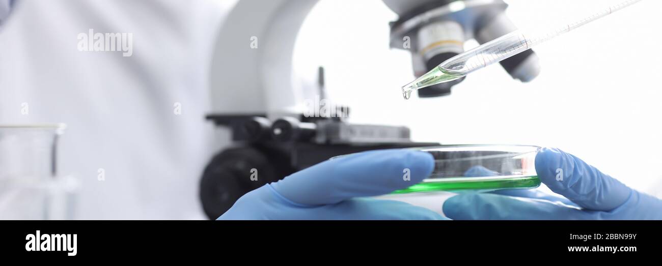 Microscopic examination particles, gloved hands Stock Photo - Alamy