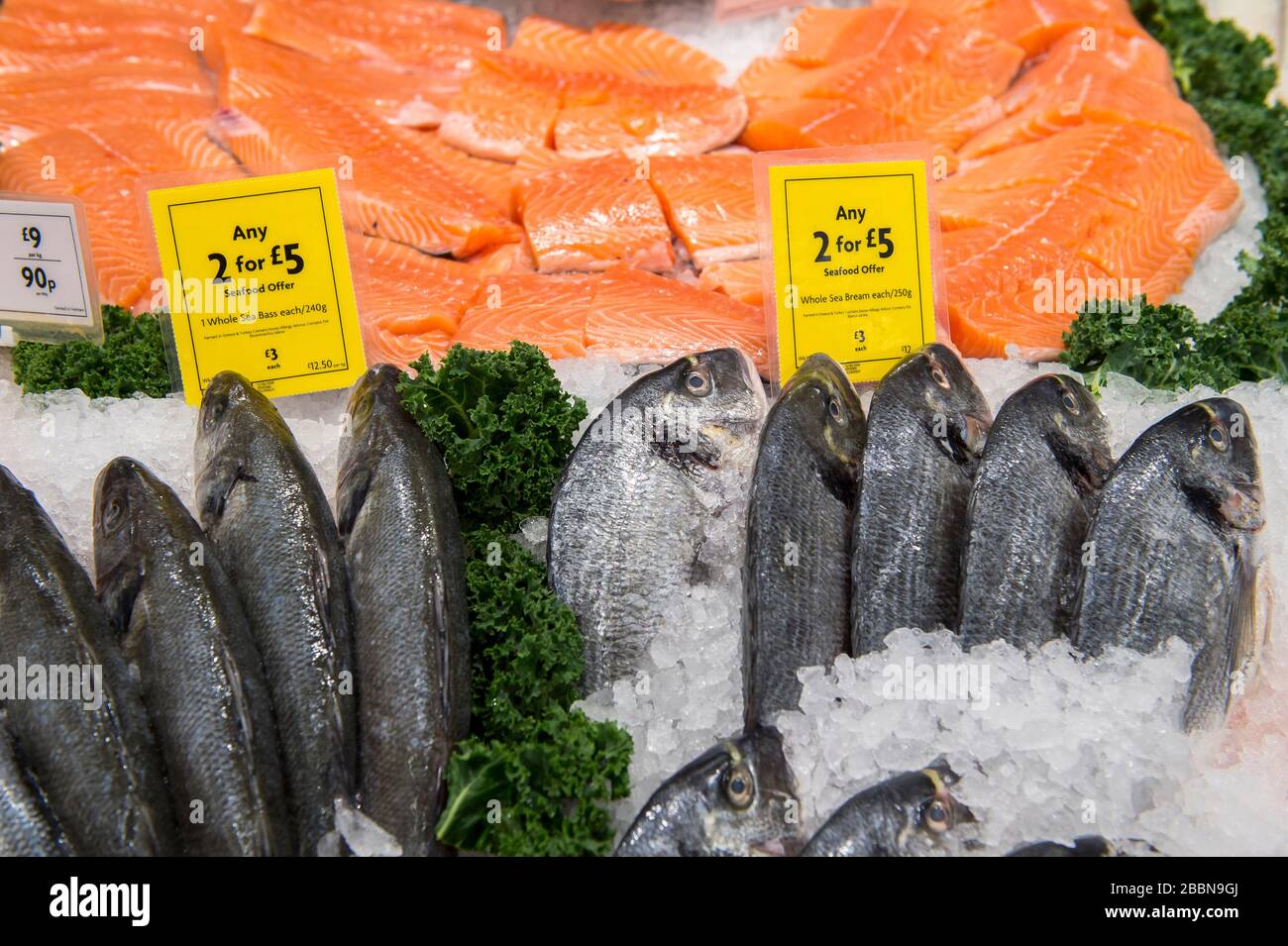 Fresh fish on a UK supermaket counter Stock Photo - Alamy