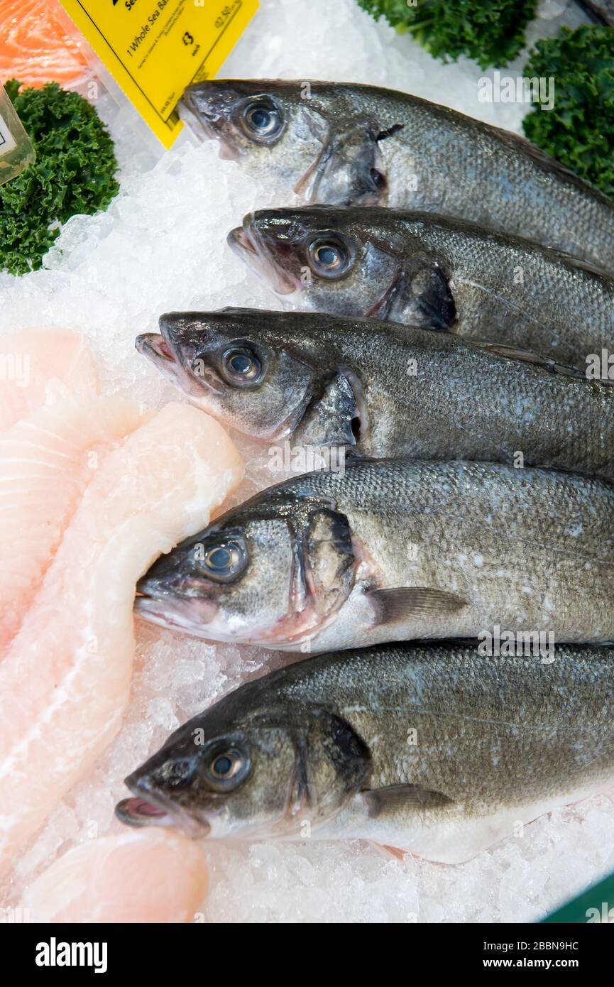 Fresh fish on a UK supermaket counter Stock Photo - Alamy