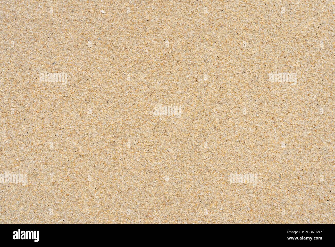 Sand texture on the beach. Crushed shells Stock Photo - Alamy