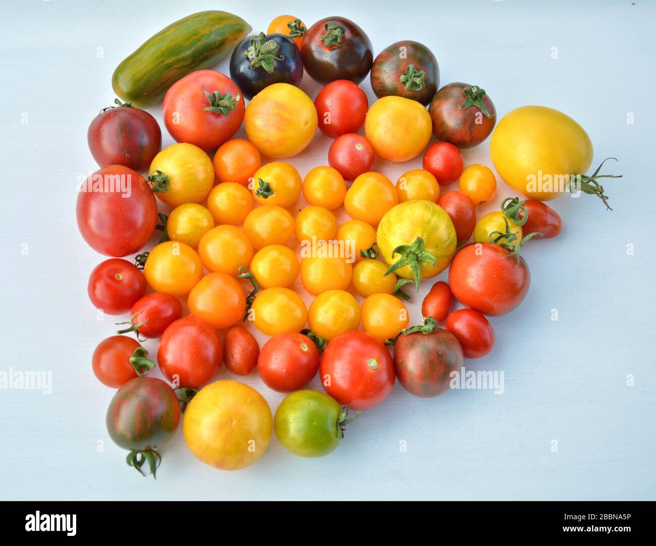 Colorful varieties hi-res stock photography and images - Alamy