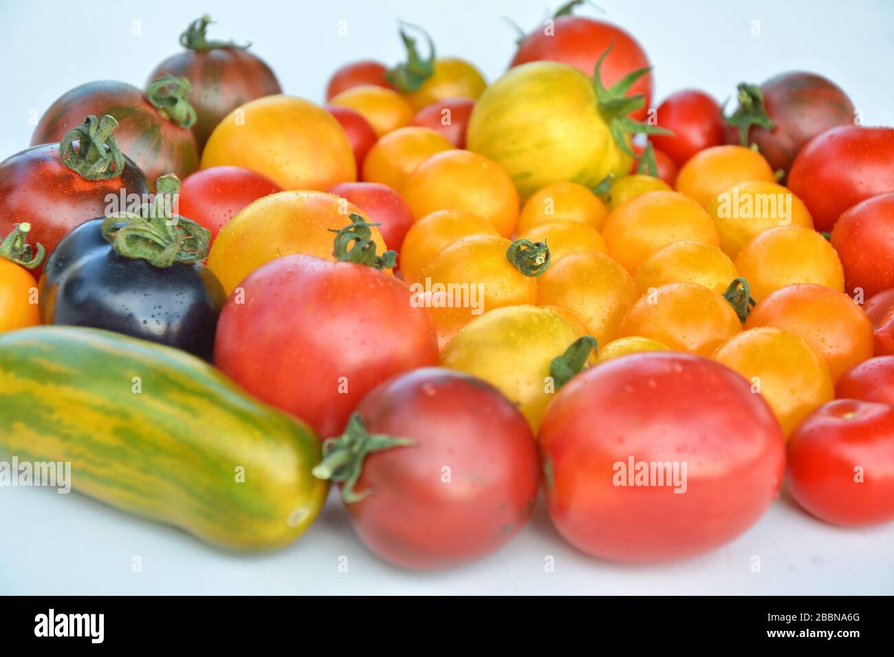 Tomatoes collection of colorful varieties Stock Photo - Alamy