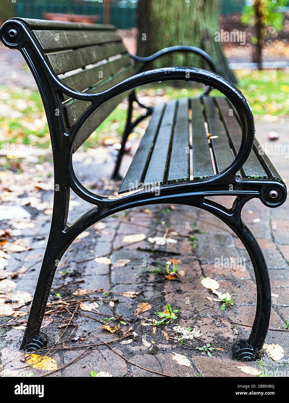 Public bench under rain Stock Photo - Alamy