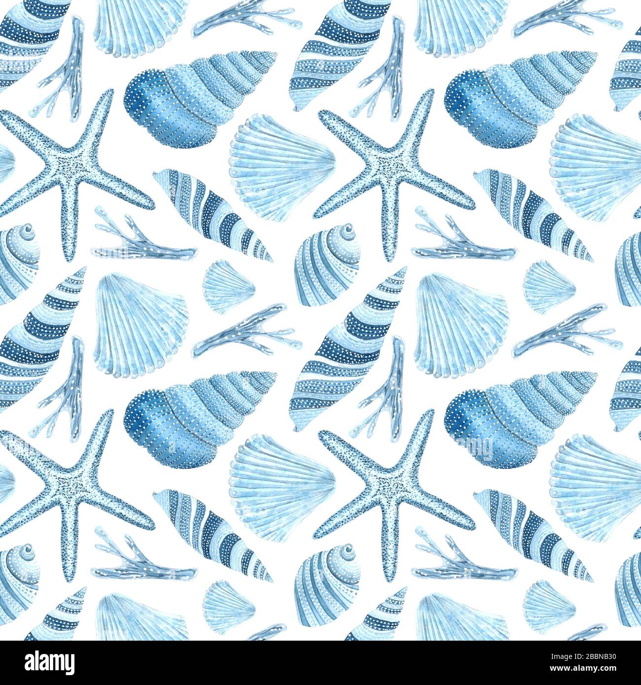 Hand-drawn watercolor sea pattern with shells. Nature print with shells ...