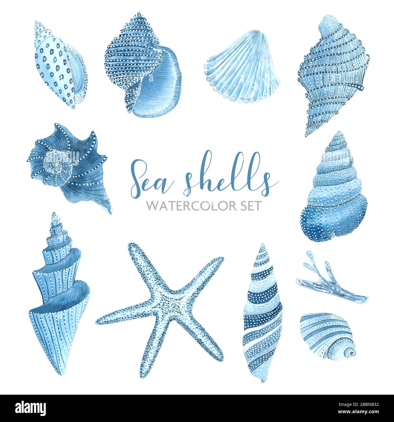 Set of shells hi-res stock photography and images - Alamy