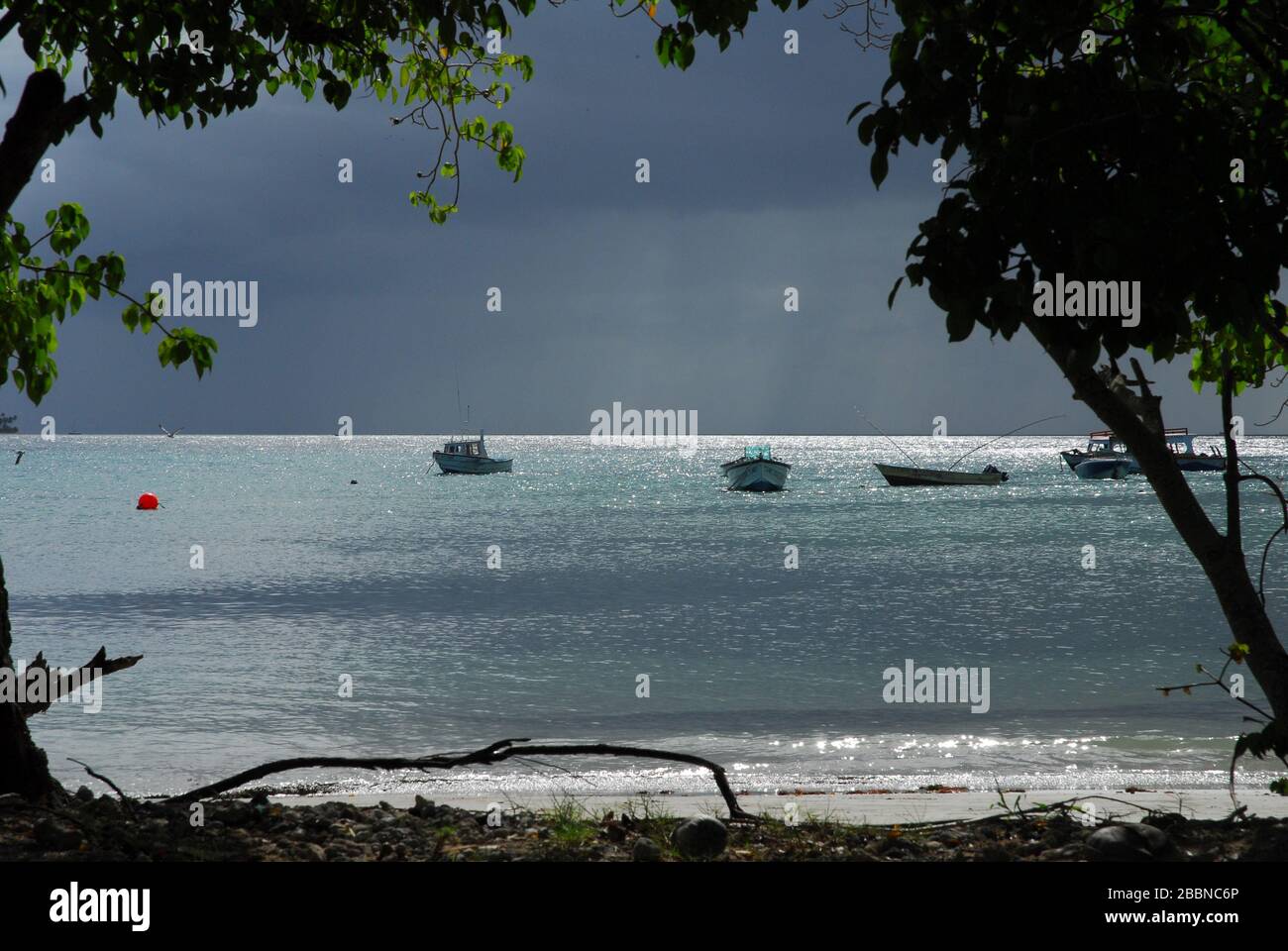 Captivating Caribbean Sea from Tobago beach Stock Photo - Alamy