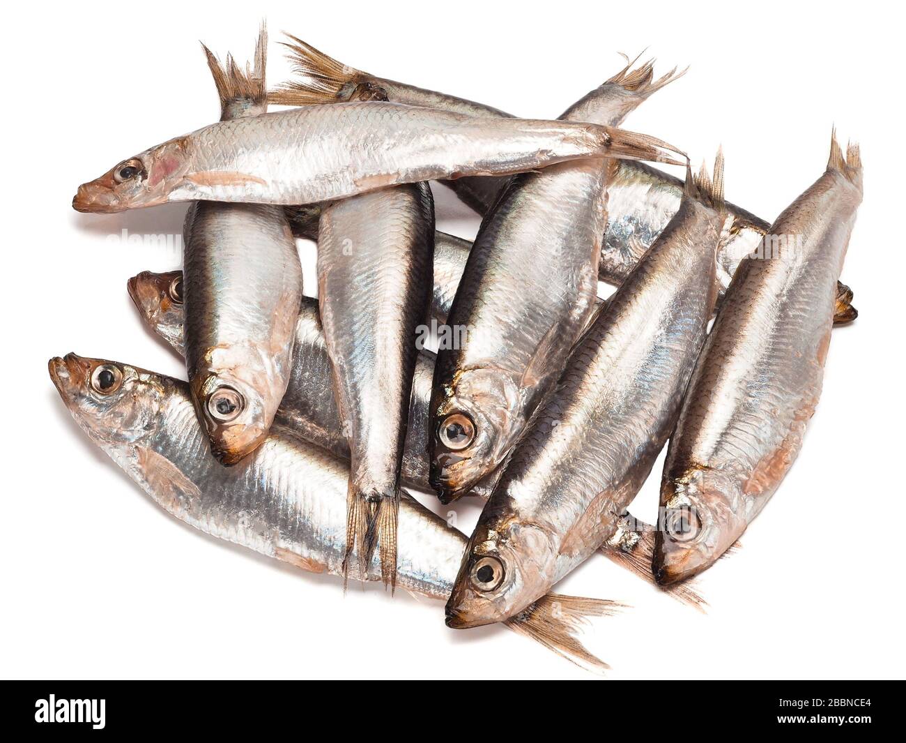 Sprat hi-res stock photography and images - Alamy