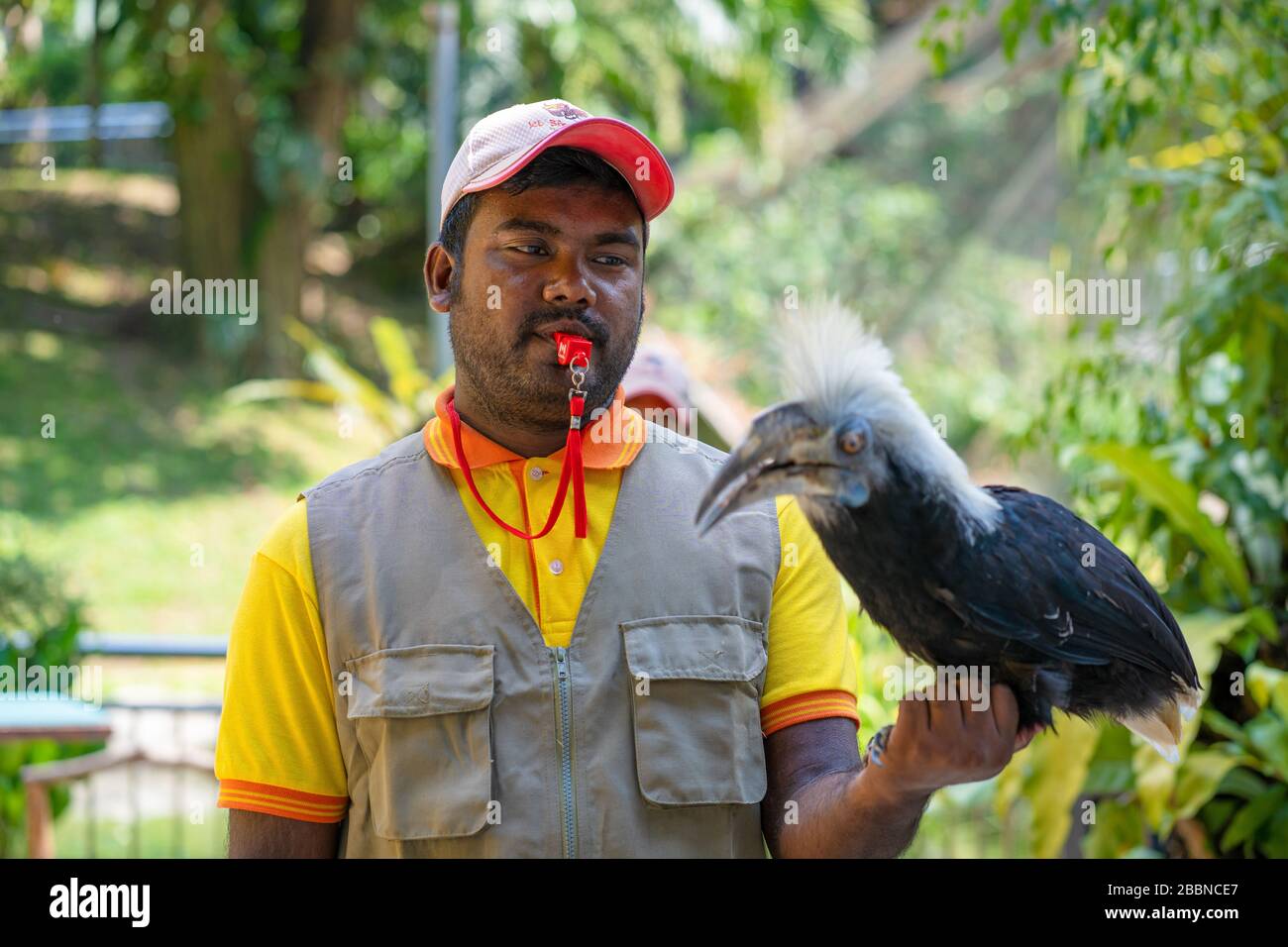 A show with birds in a bird park. A trainer with parrots Stock Photo ...
