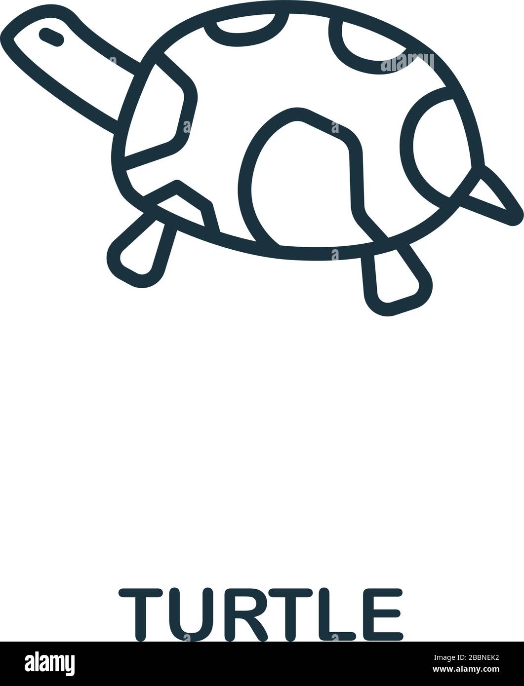 Turtle icon from wild animals collection. Simple line Turtle icon for ...