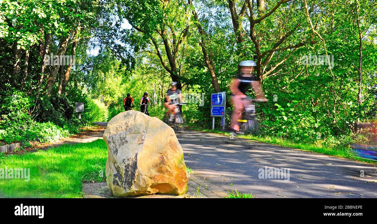 Cyclists on the Preston Guild Wheel in summer Stock Photo - Alamy