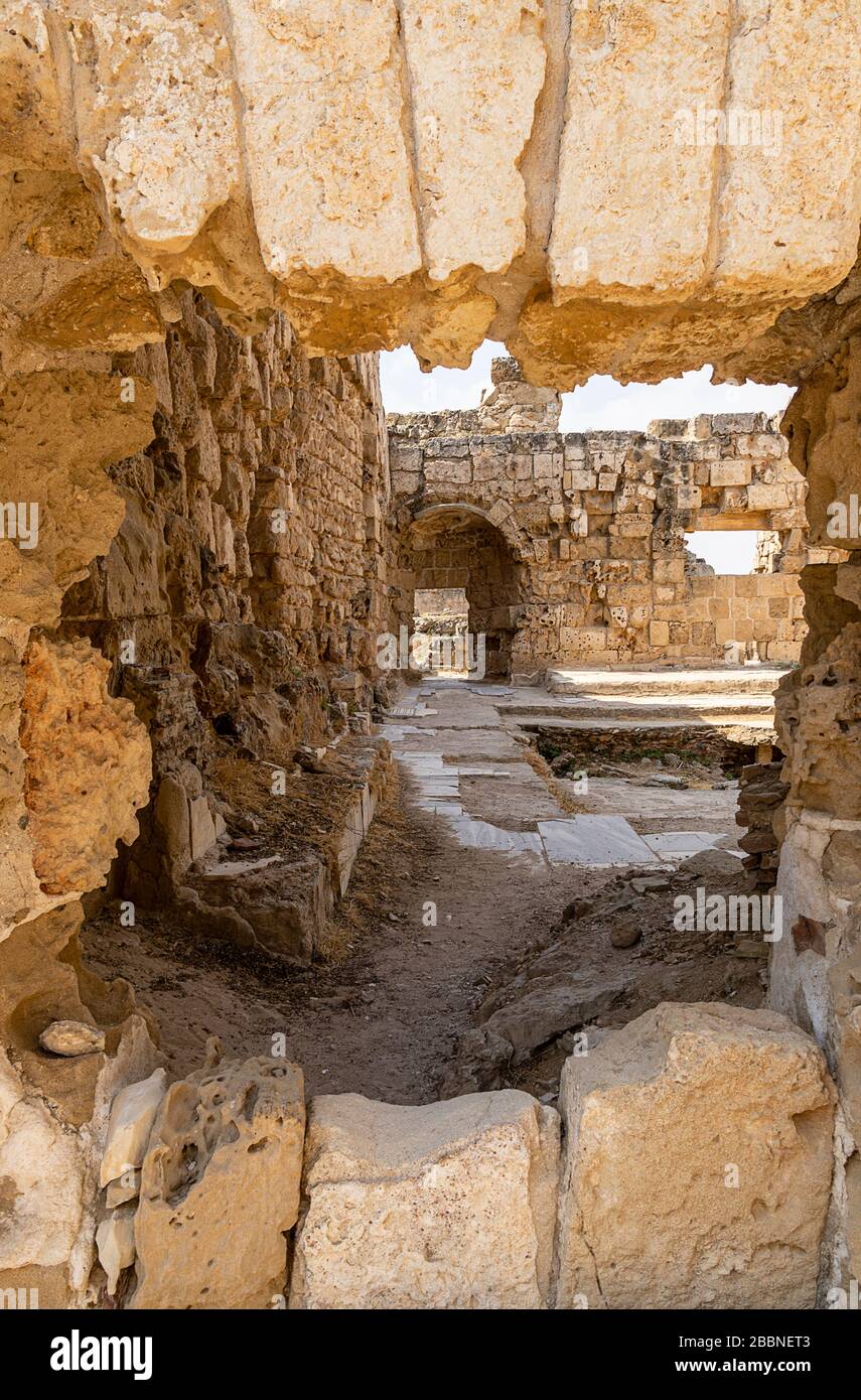 Ancient Ruins of Salamis - Cyprus Stock Photo - Alamy
