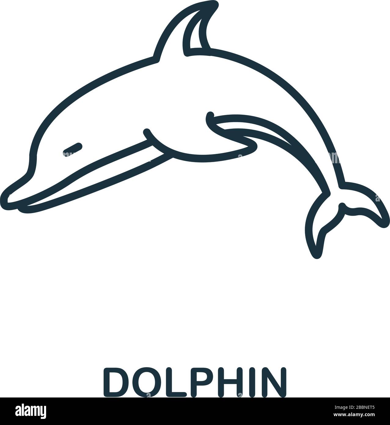Dolphin Outline Template