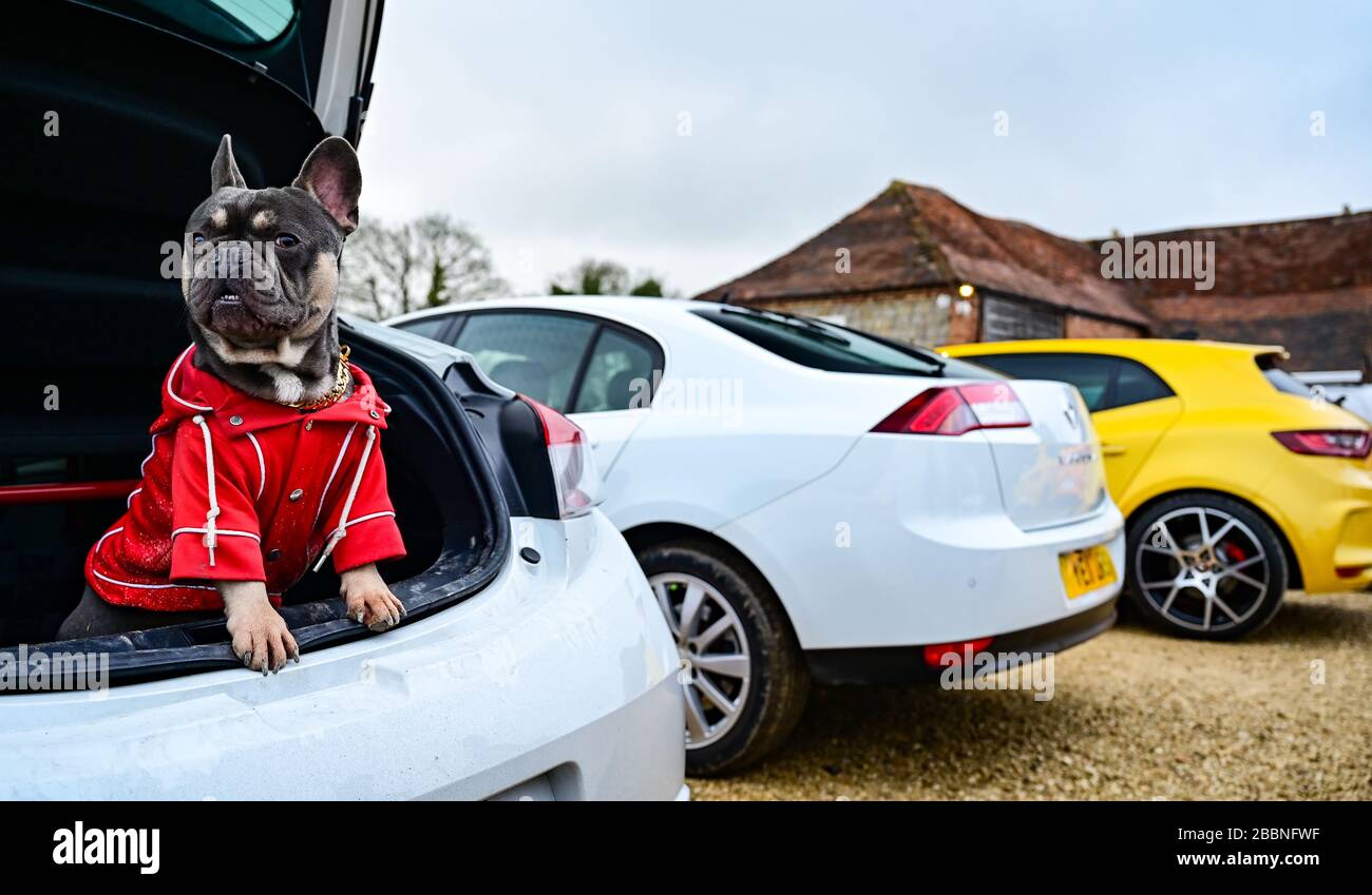 Cars on display at Caffeine & Machine venue Stock Photo - Alamy
