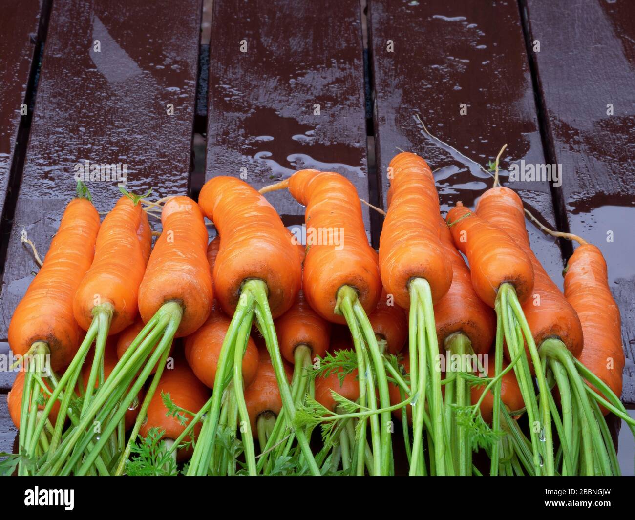 organic carrots bunch o table closeup horizontal background Stock Photo ...