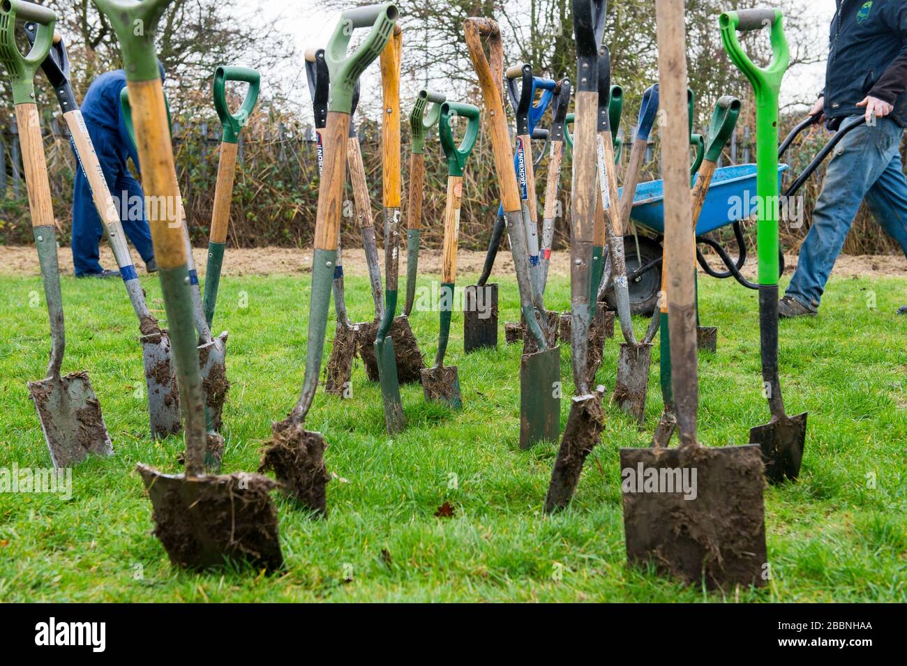 Jewish Wheelbarrow Walk