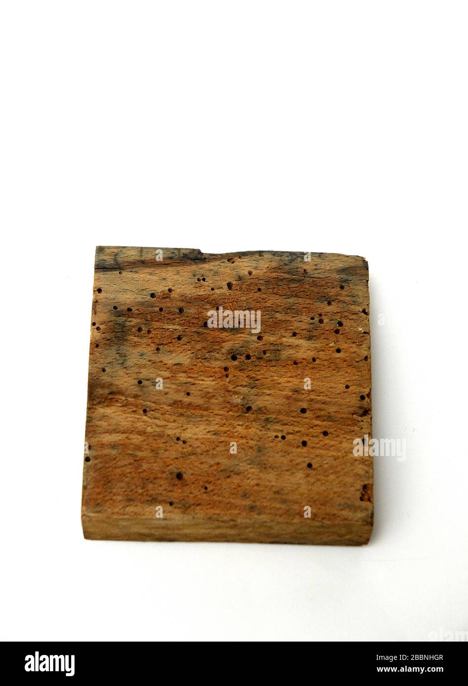 Wood restoration hi-res stock photography and images - Alamy