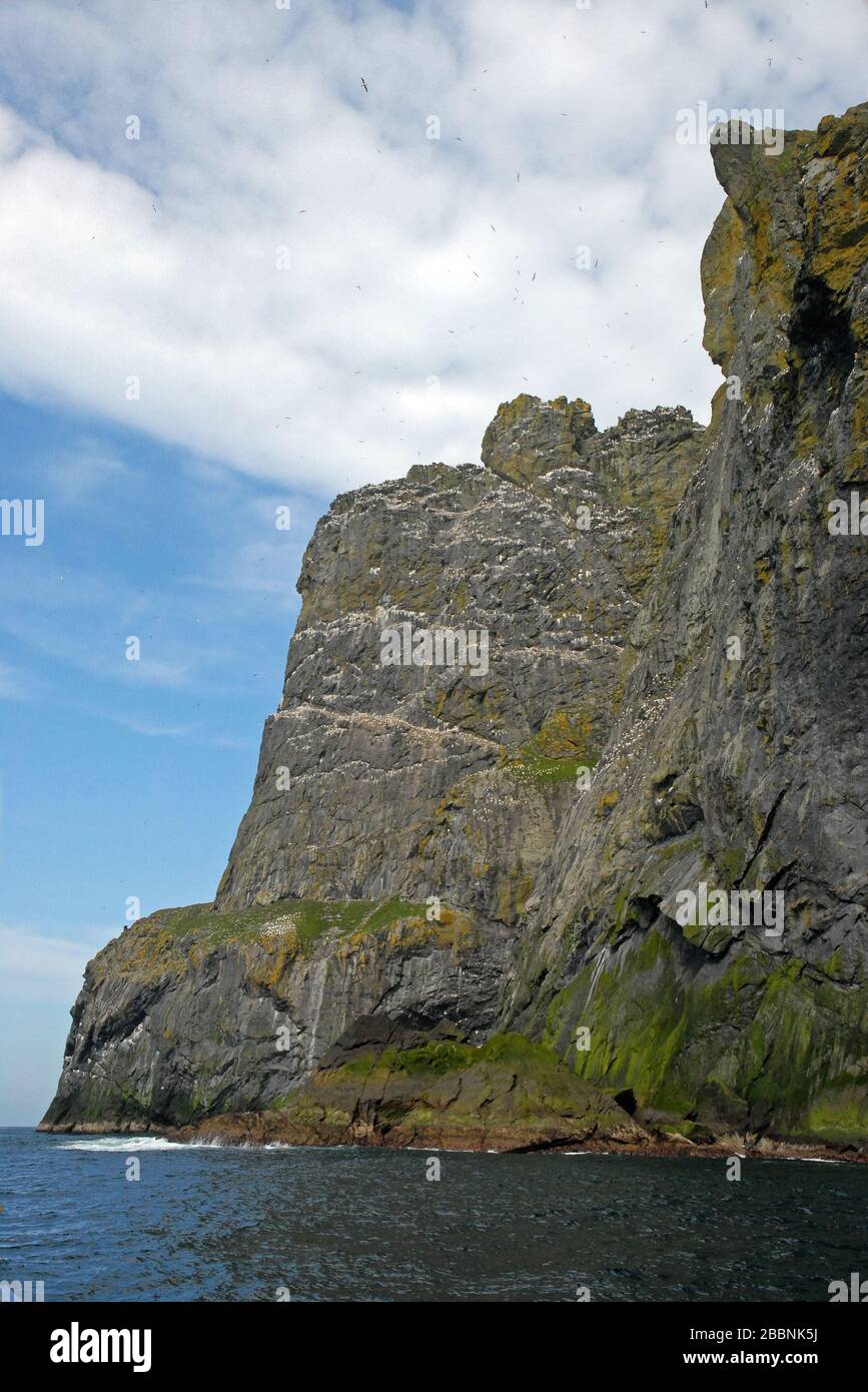 Boreray St Kilda High Resolution Stock Photography and Images - Alamy