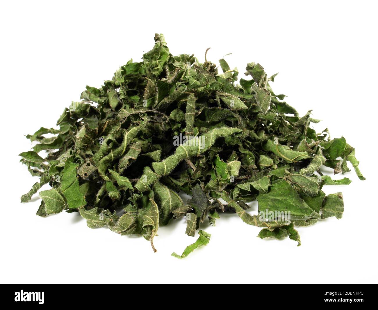 Dried Stinging Nettle Tea on white Background Stock Photo - Alamy