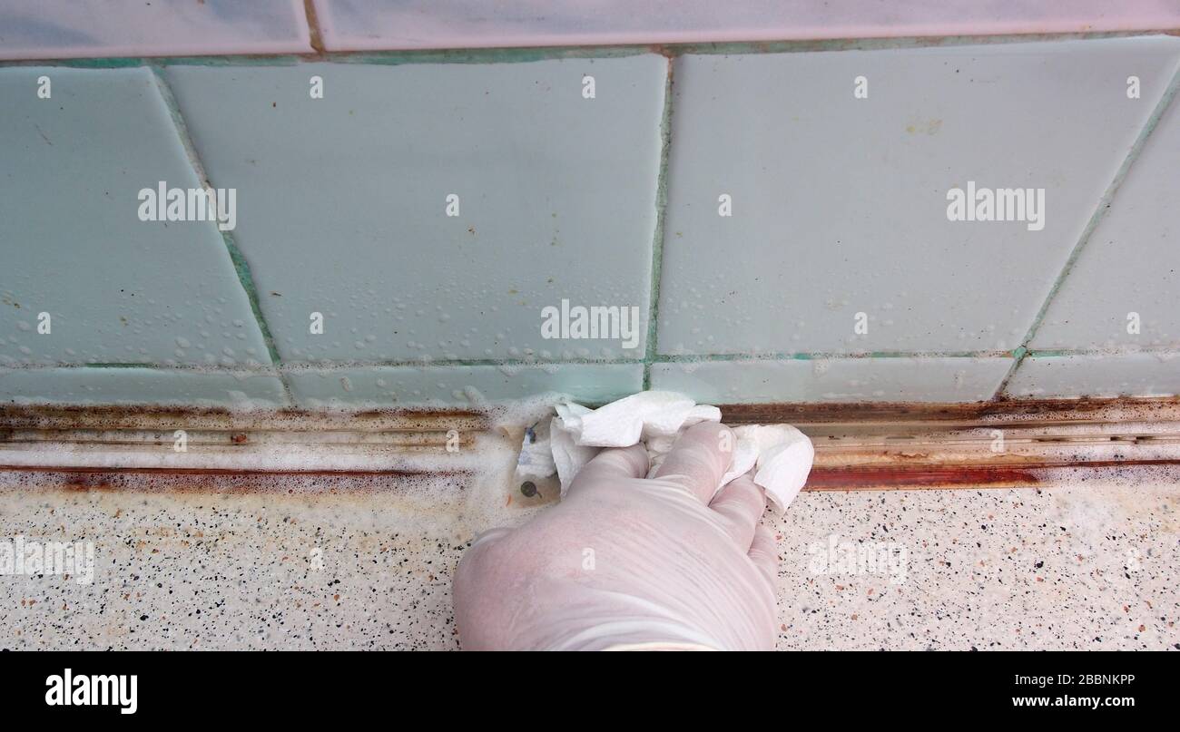 Cleaning the table surface with a detergent and paper napkin ...