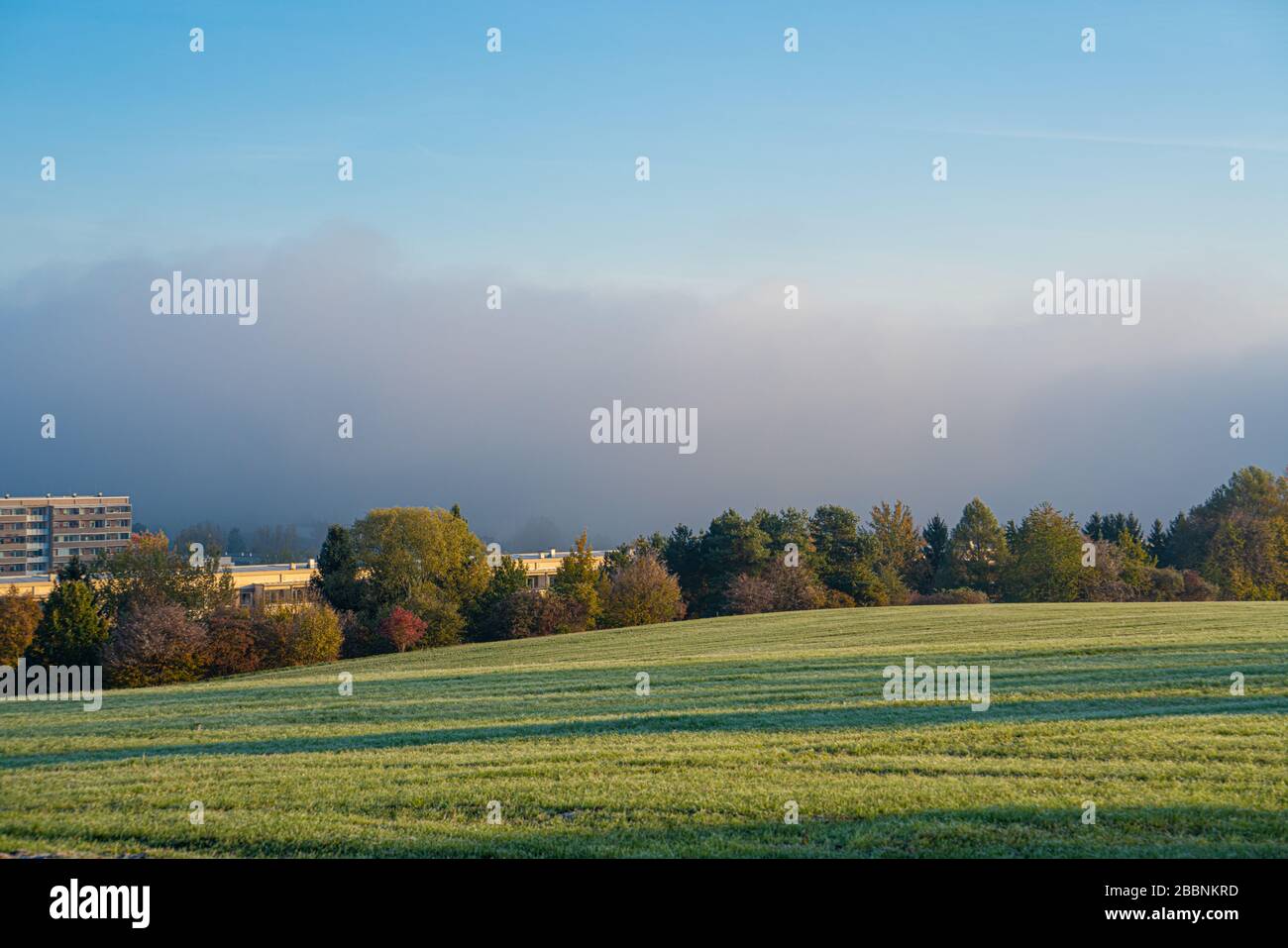 Spring green field near city an early morning Stock Photo - Alamy