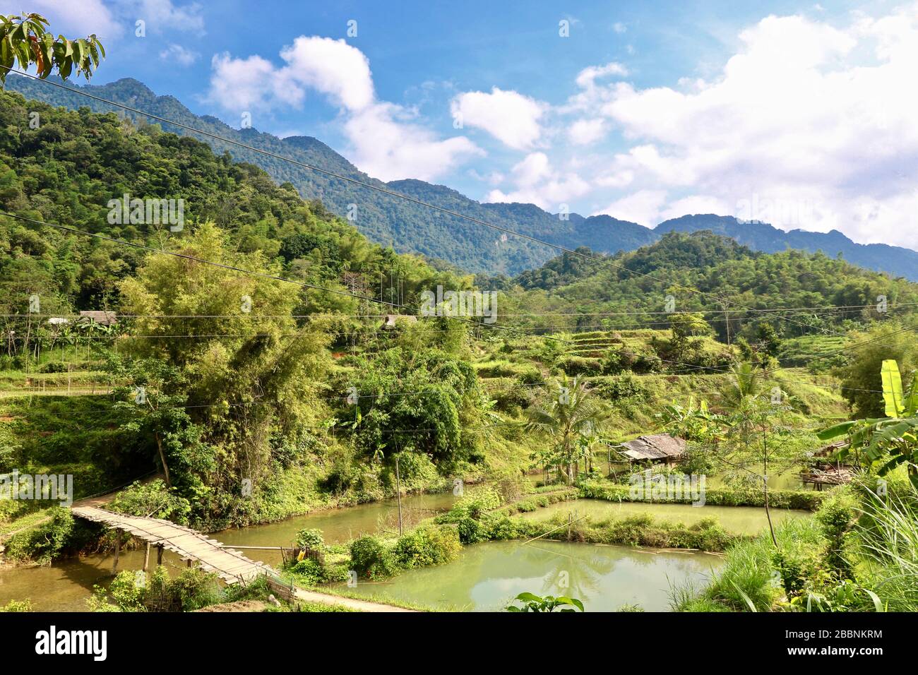 Hiking in beautiful Pu Luong, Vietnam Stock Photo - Alamy