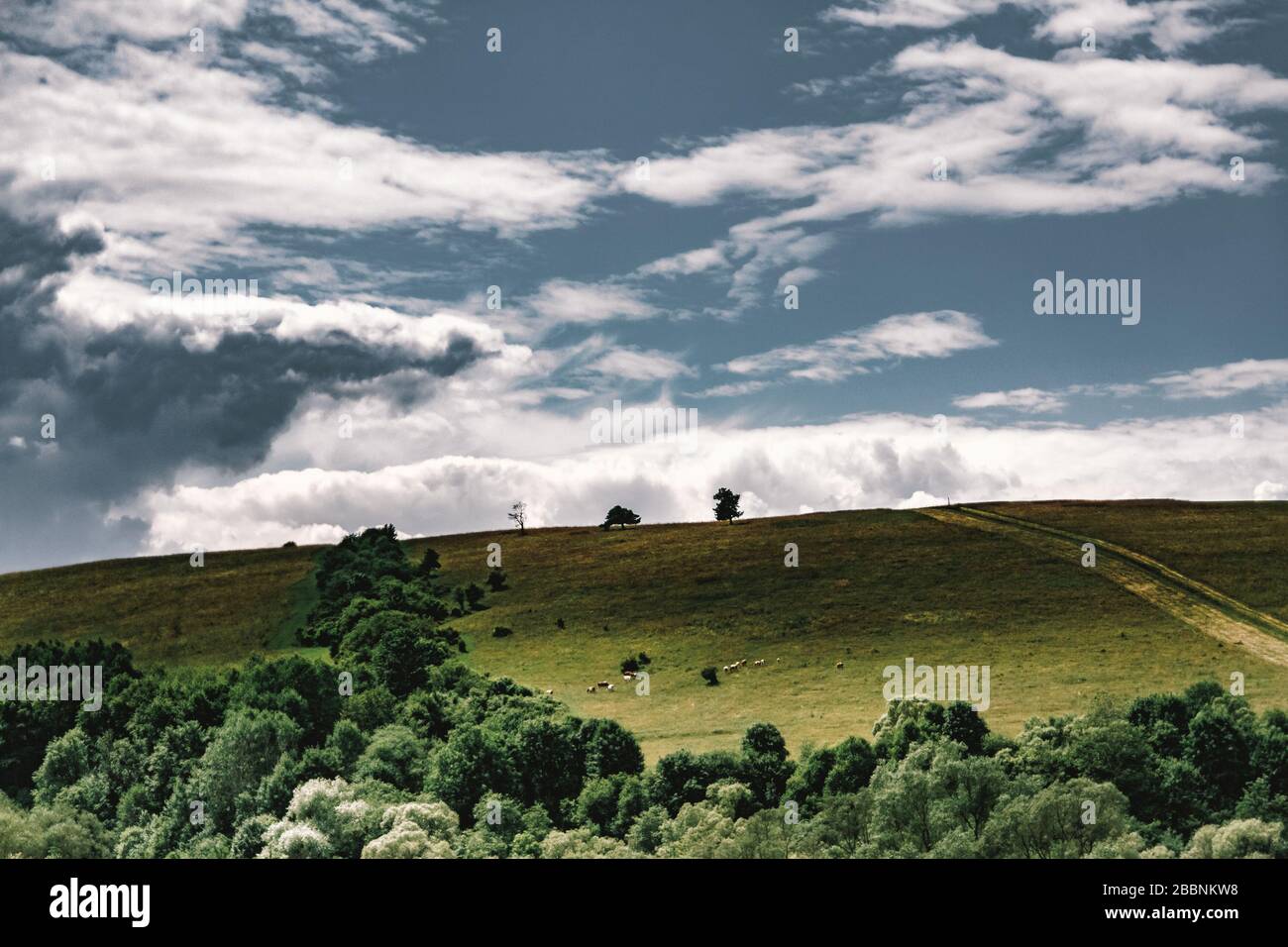 Smolnik on the Oslawa River in the Bieszczady Mountains in Poland Stock ...