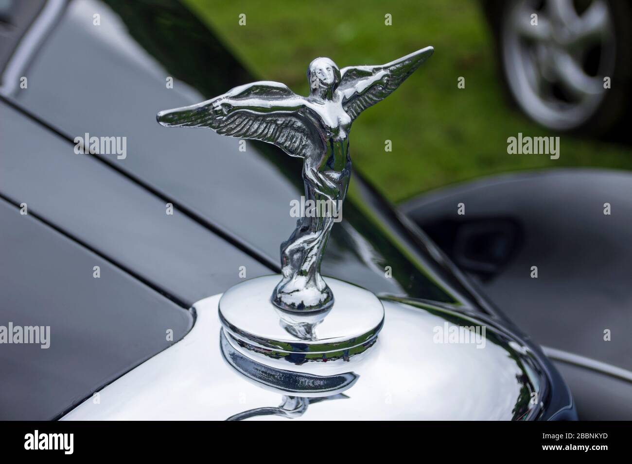 Riley Bonnet mascot Stock Photo - Alamy