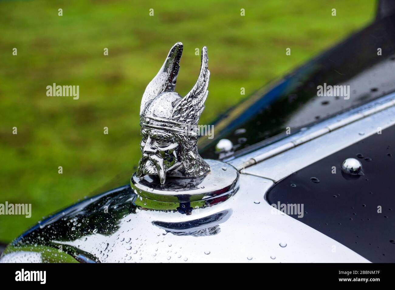 Rover Bonnet Mascot Stock Photo - Alamy