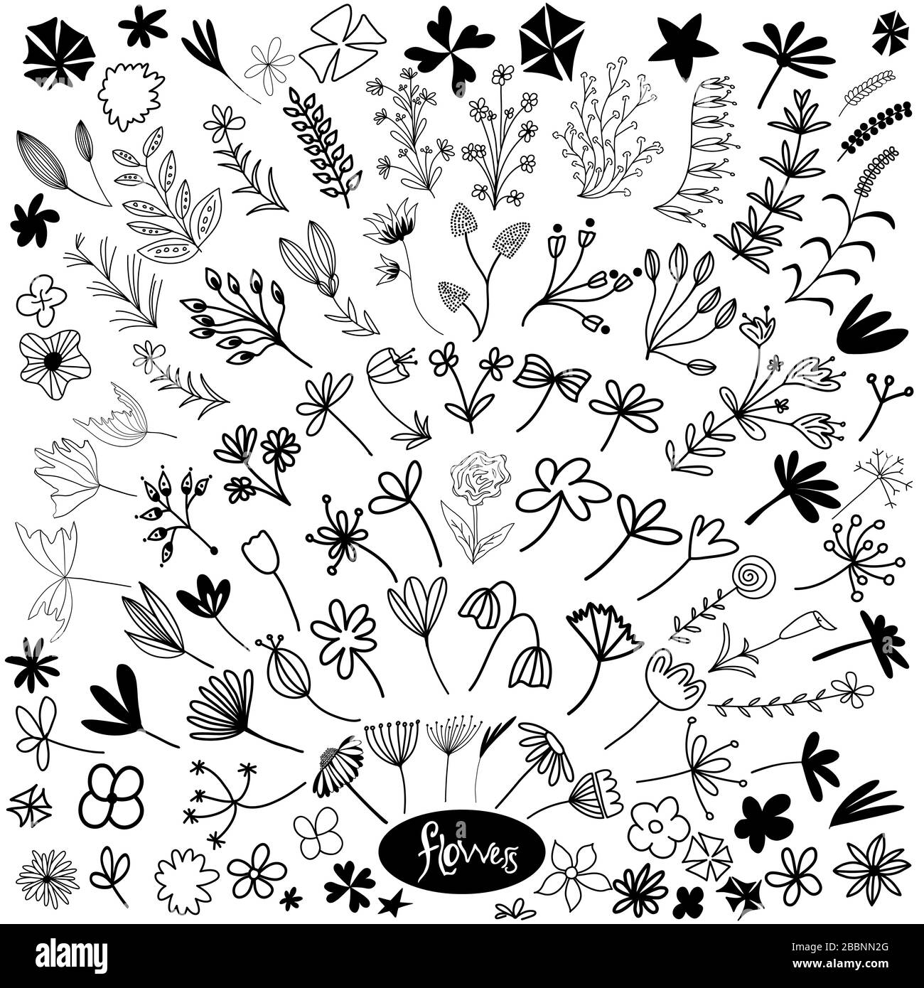 Set of hand drawn doodle flowers, leaves and branches. Isolated on ...
