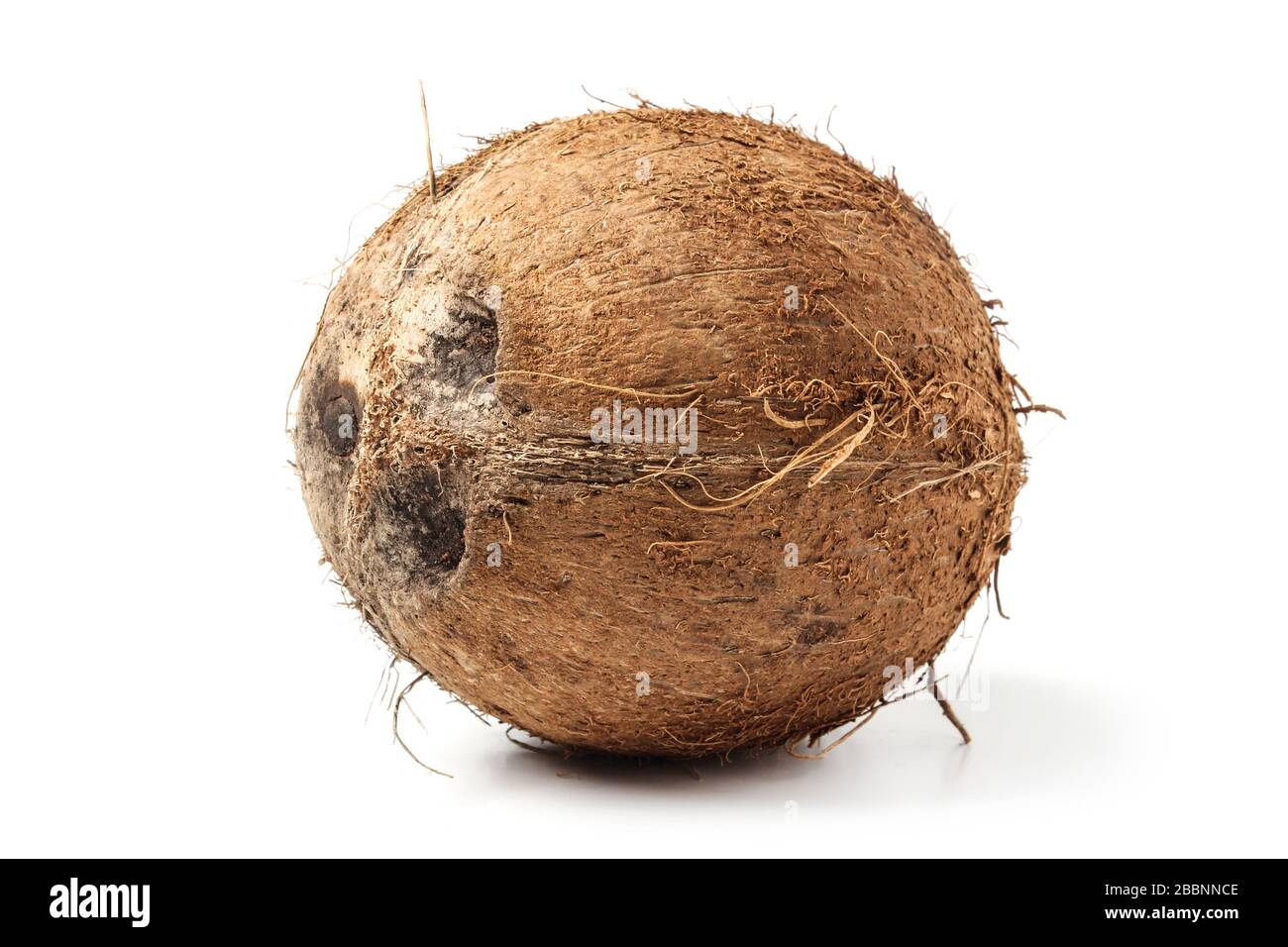Coconut close up isolated on white background Stock Photo - Alamy