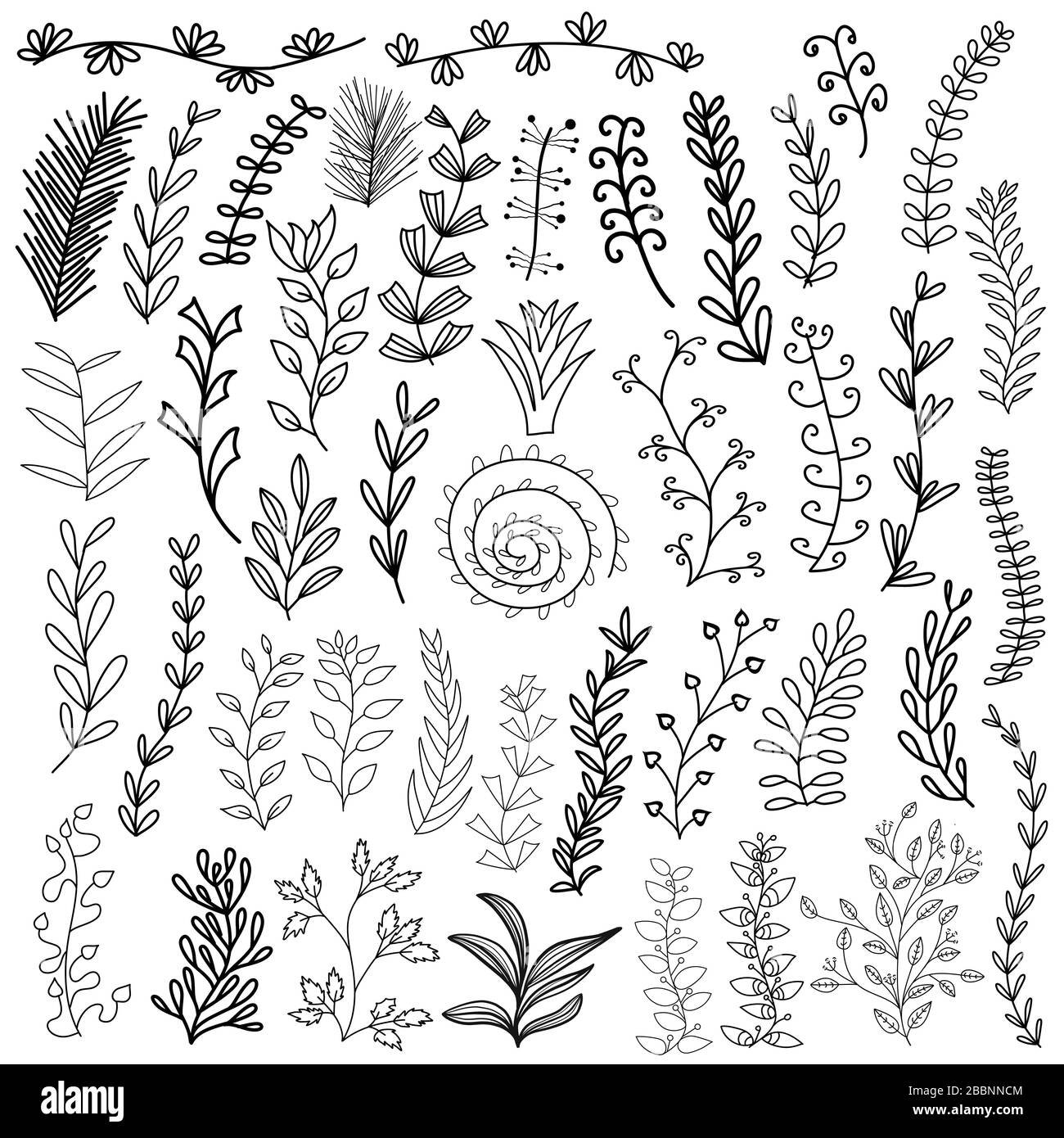 Set of hand drawn doodle flowers, leaves and branches. Isolated on ...