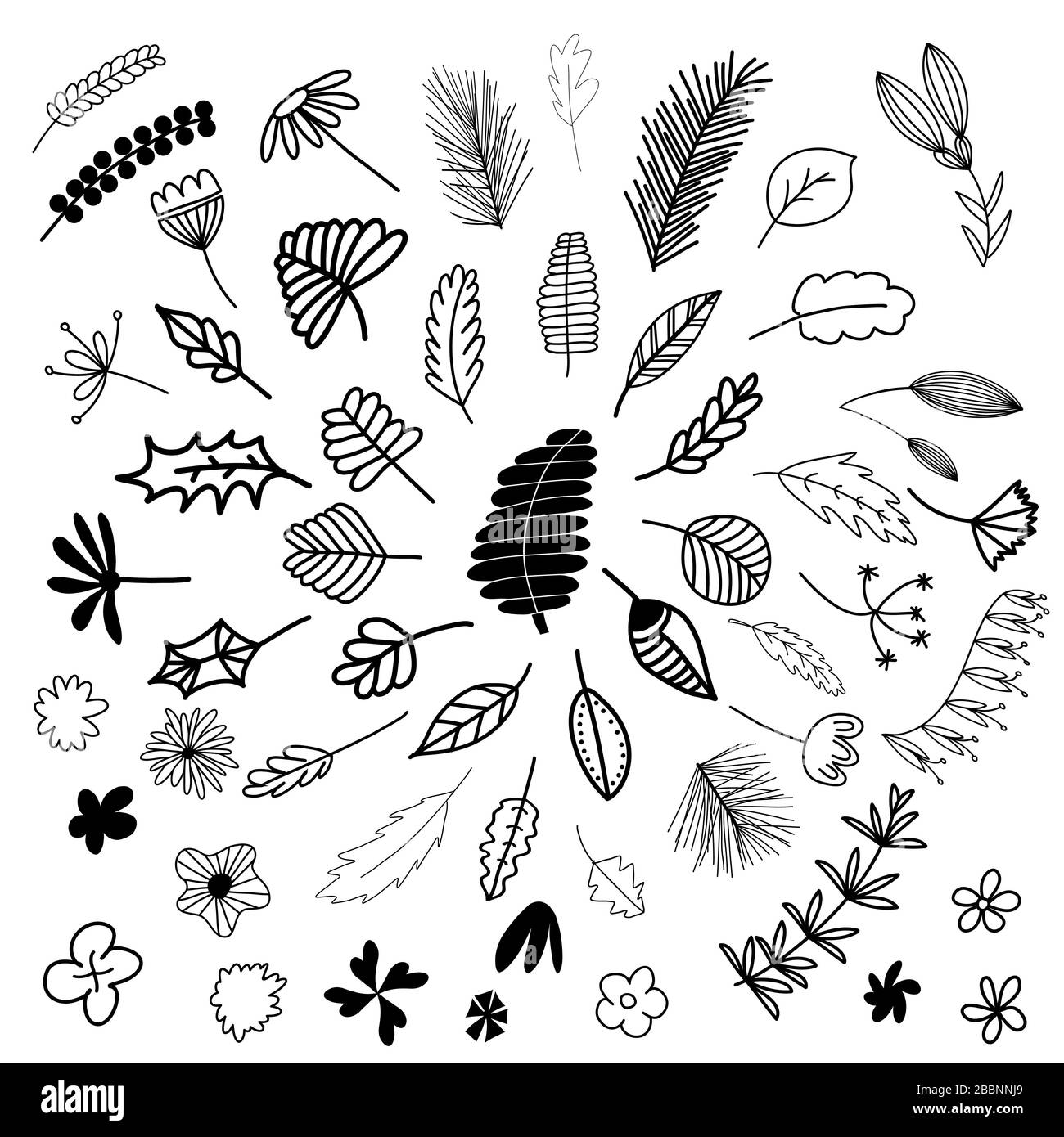 Set of hand drawn doodle flowers, leaves and branches. Isolated on ...