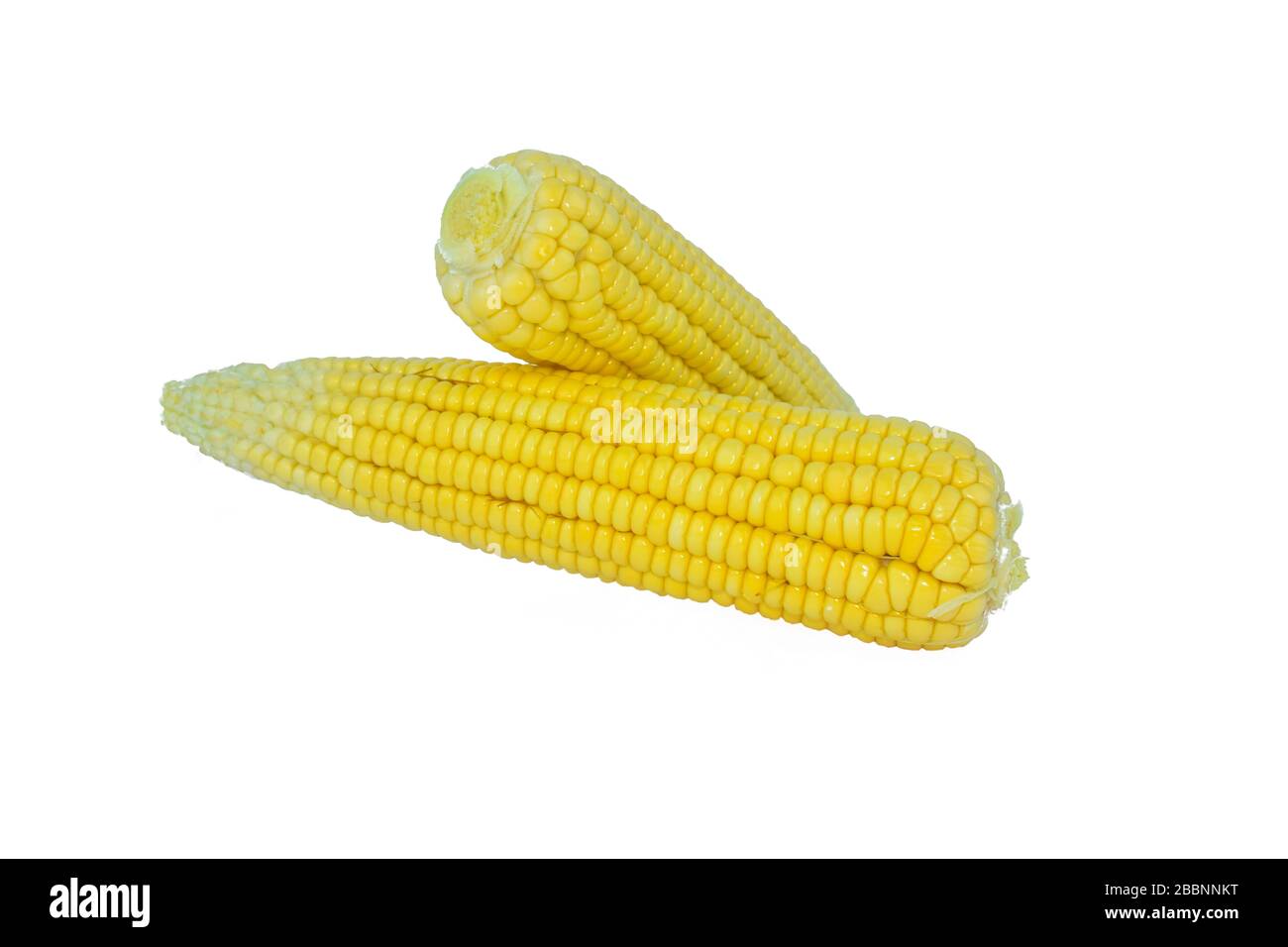 Side view of two yellow colored sweet corn isolated on an empty white ...