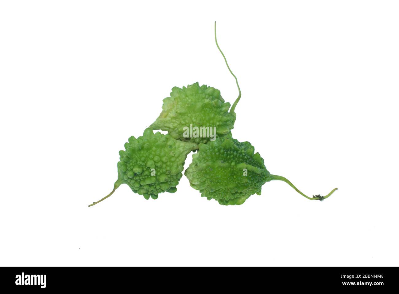 Three green colored very small sized bitter melon isolated in an empty ...