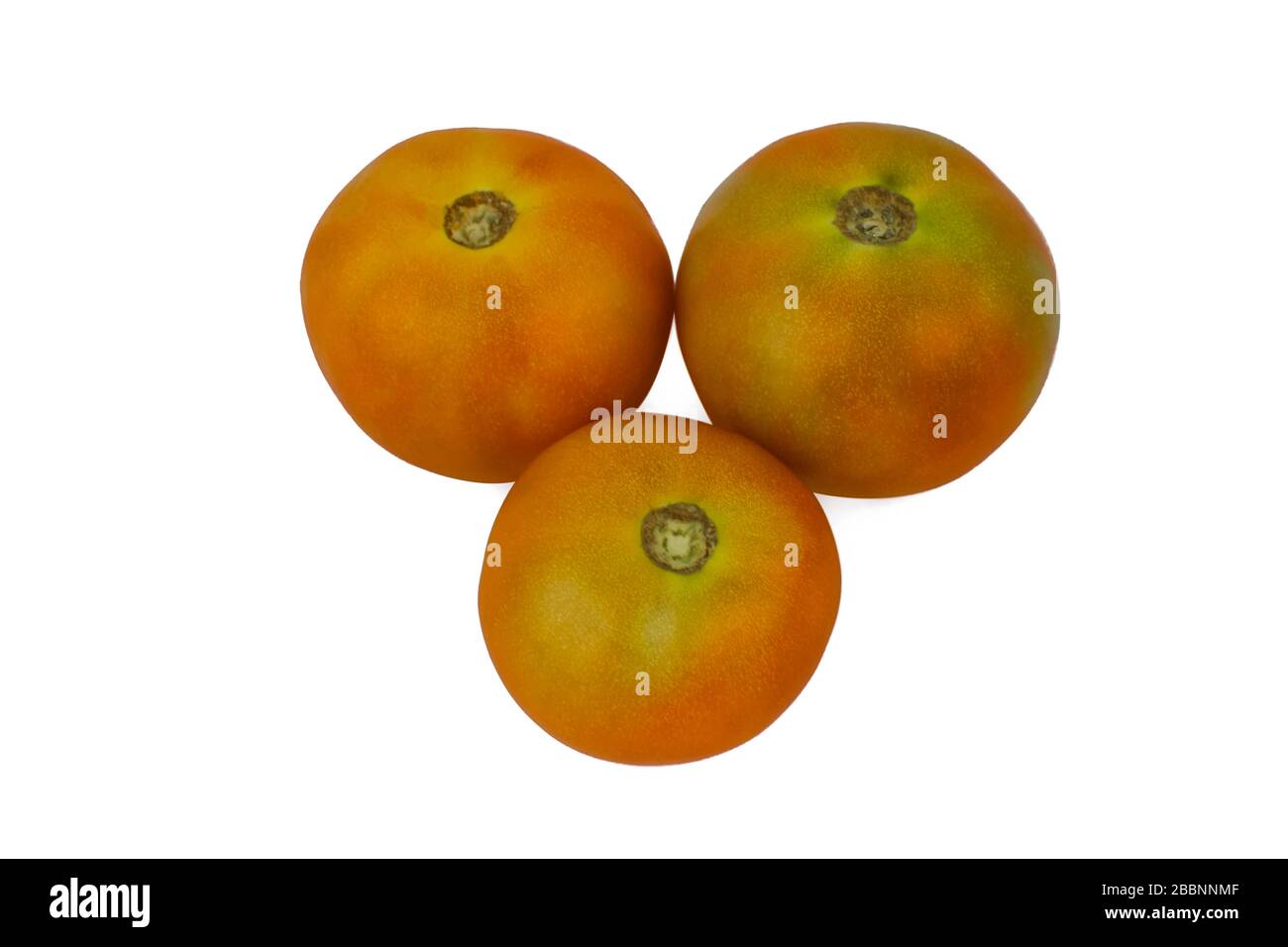 Three medium sized red colored ripe tomato isolated in an empty white ...