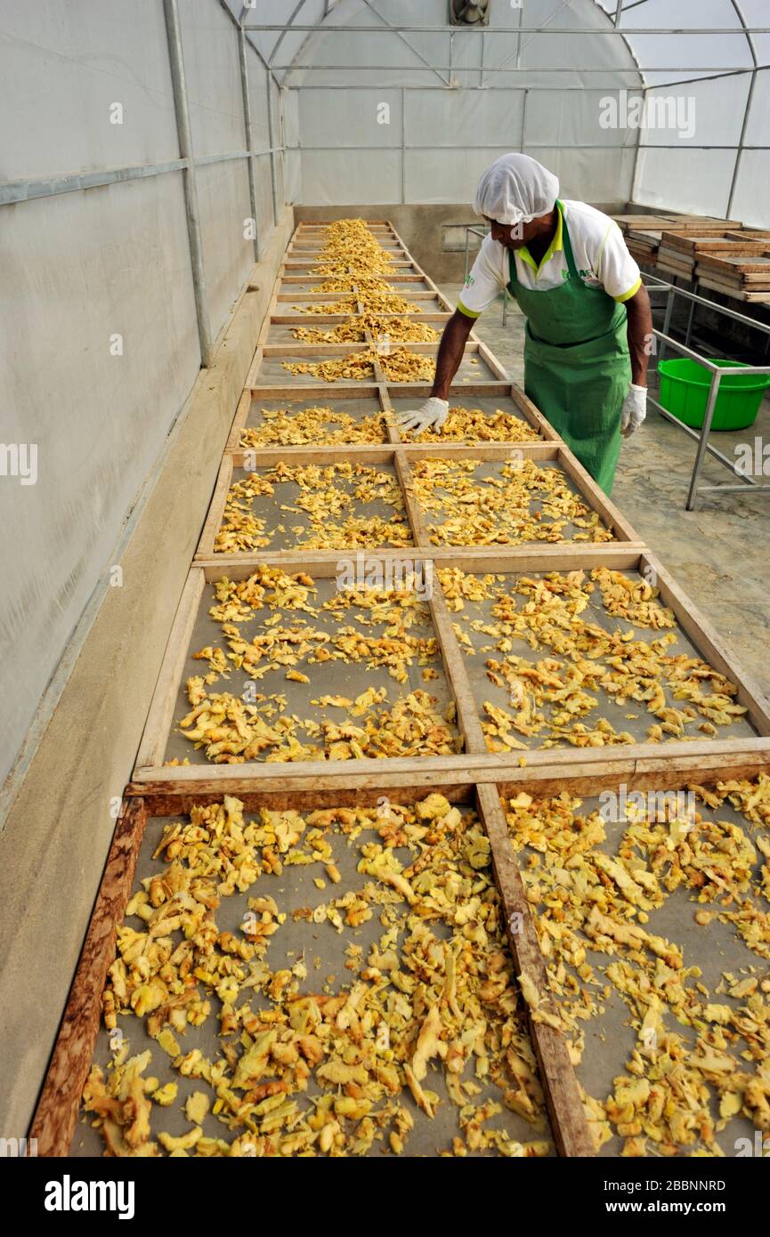 Factory farming hi-res stock photography and images - Alamy