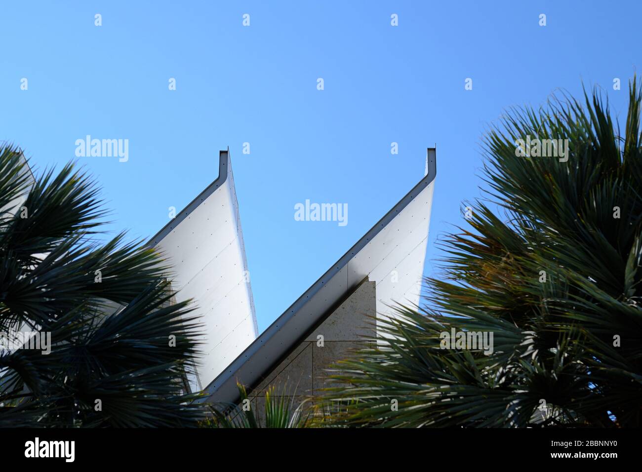 A strong contrast between the man made roof structure and the palm ...
