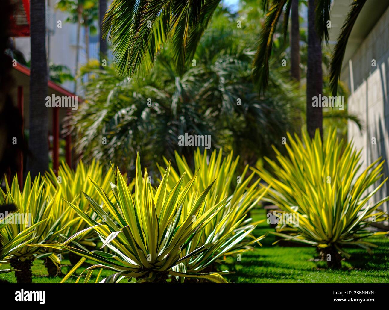 Gardens at the Los Angeles County Museum of Art aka LACMA Stock Photo ...