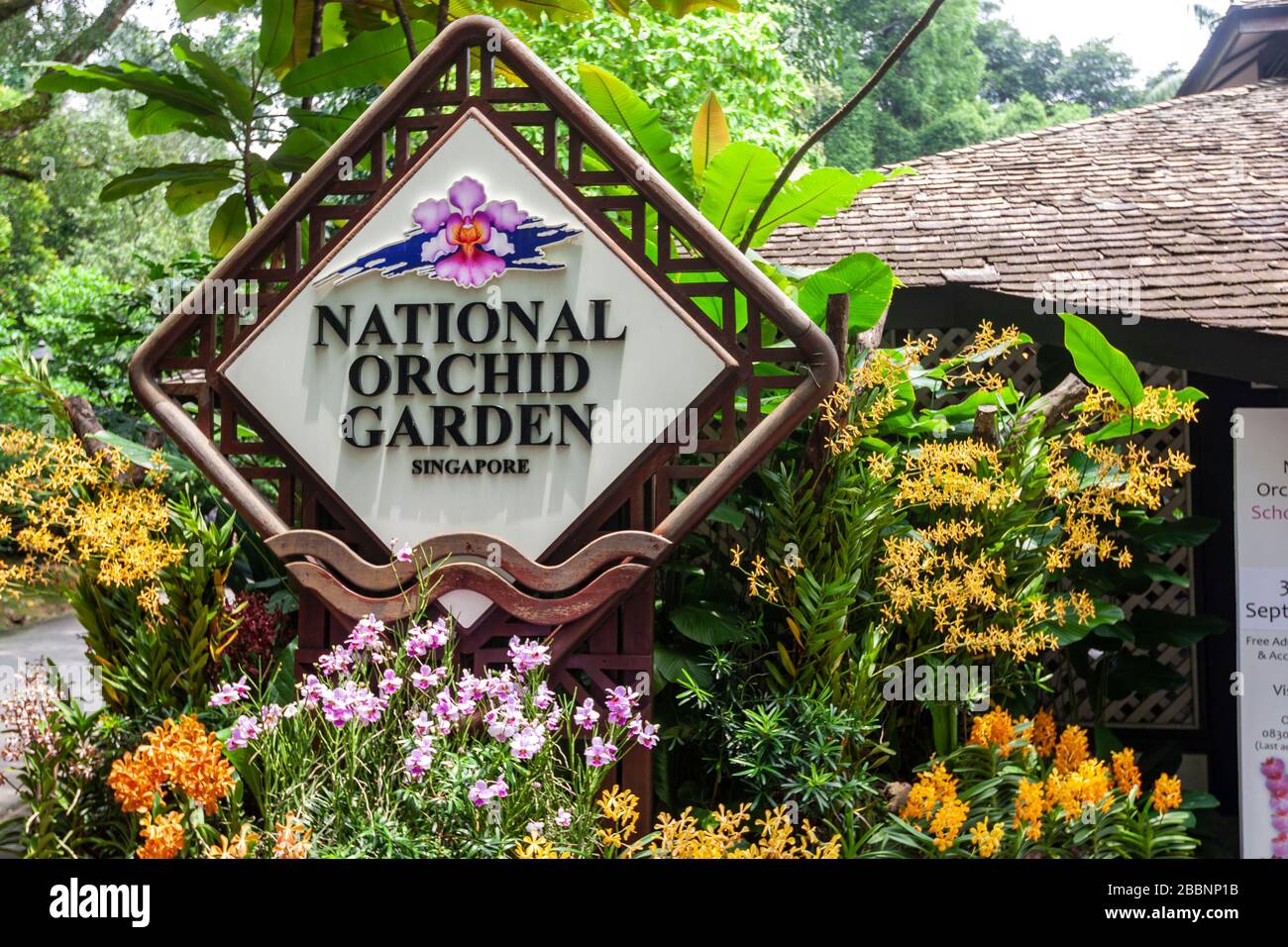 Singapore Botanic Gardens Orchids