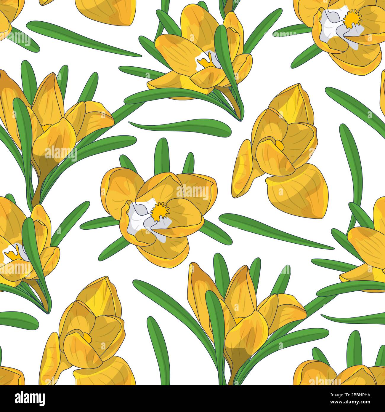 Hand drawn yellow crocus flowers seamless floral pattern. Vector ...