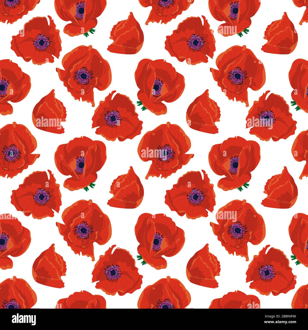 Seamless pattern with hand drawn red poppy flowers on white background ...