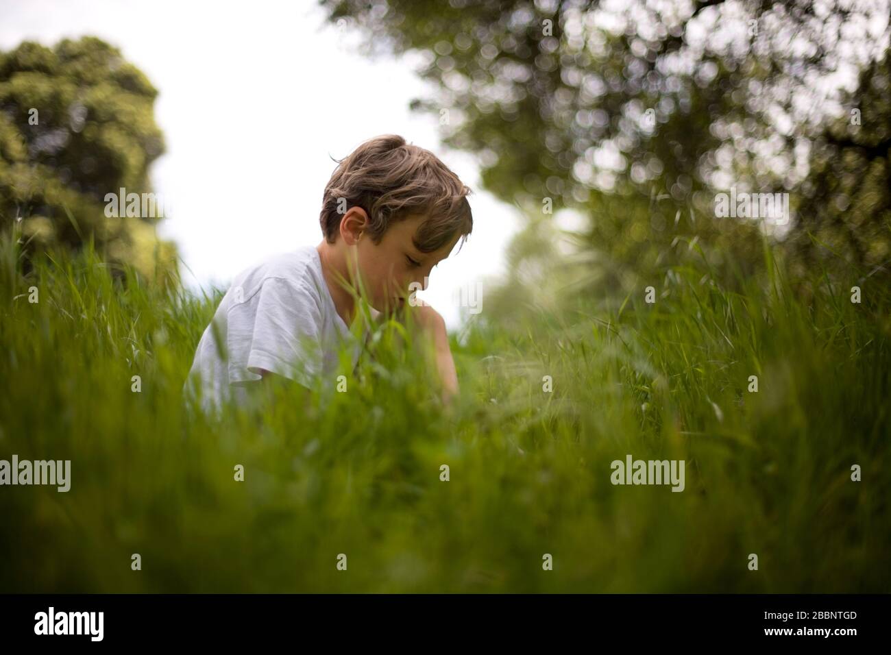View of a boy sitting down among tall grass Stock Photo - Alamy