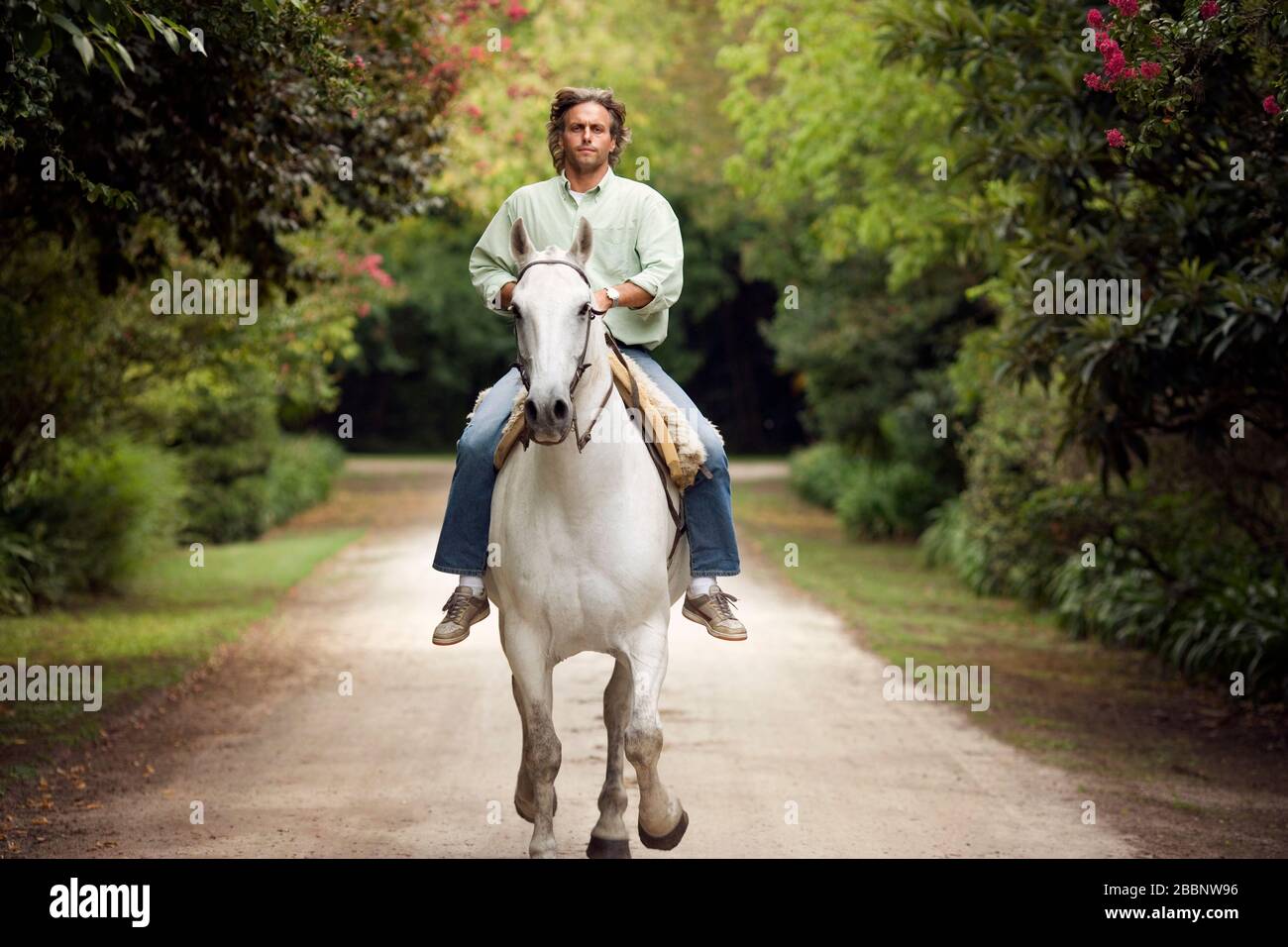 View of a man riding a horse Stock Photo - Alamy