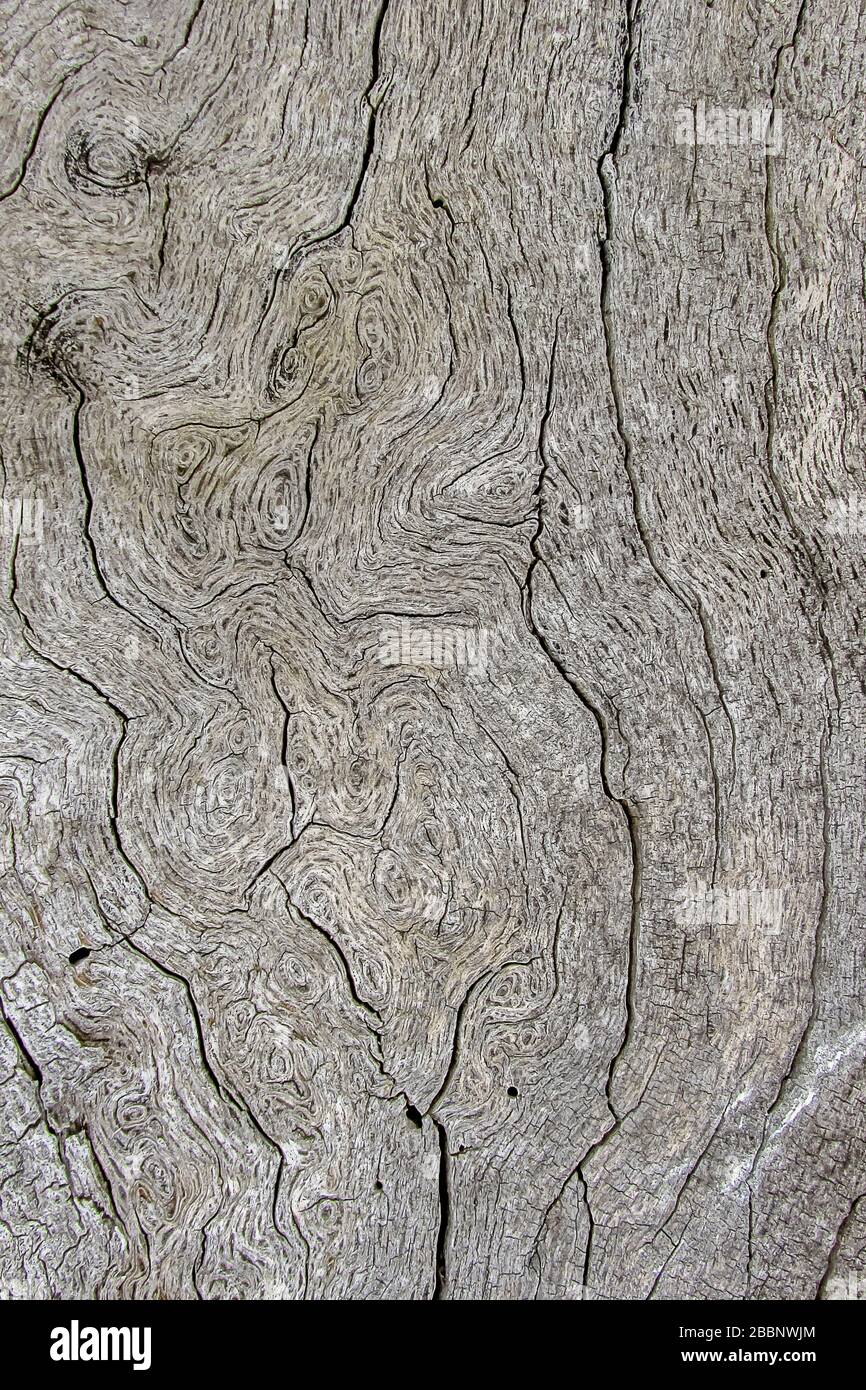 Old Weathered Wood Texture Stock Photo - Alamy