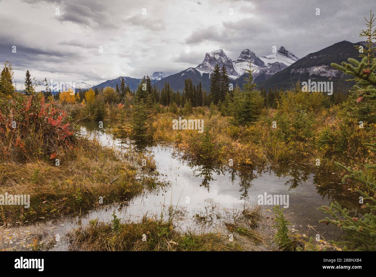Autumn colours, Canmore Alberta, Canada, Three Sisters Mountains in the ...
