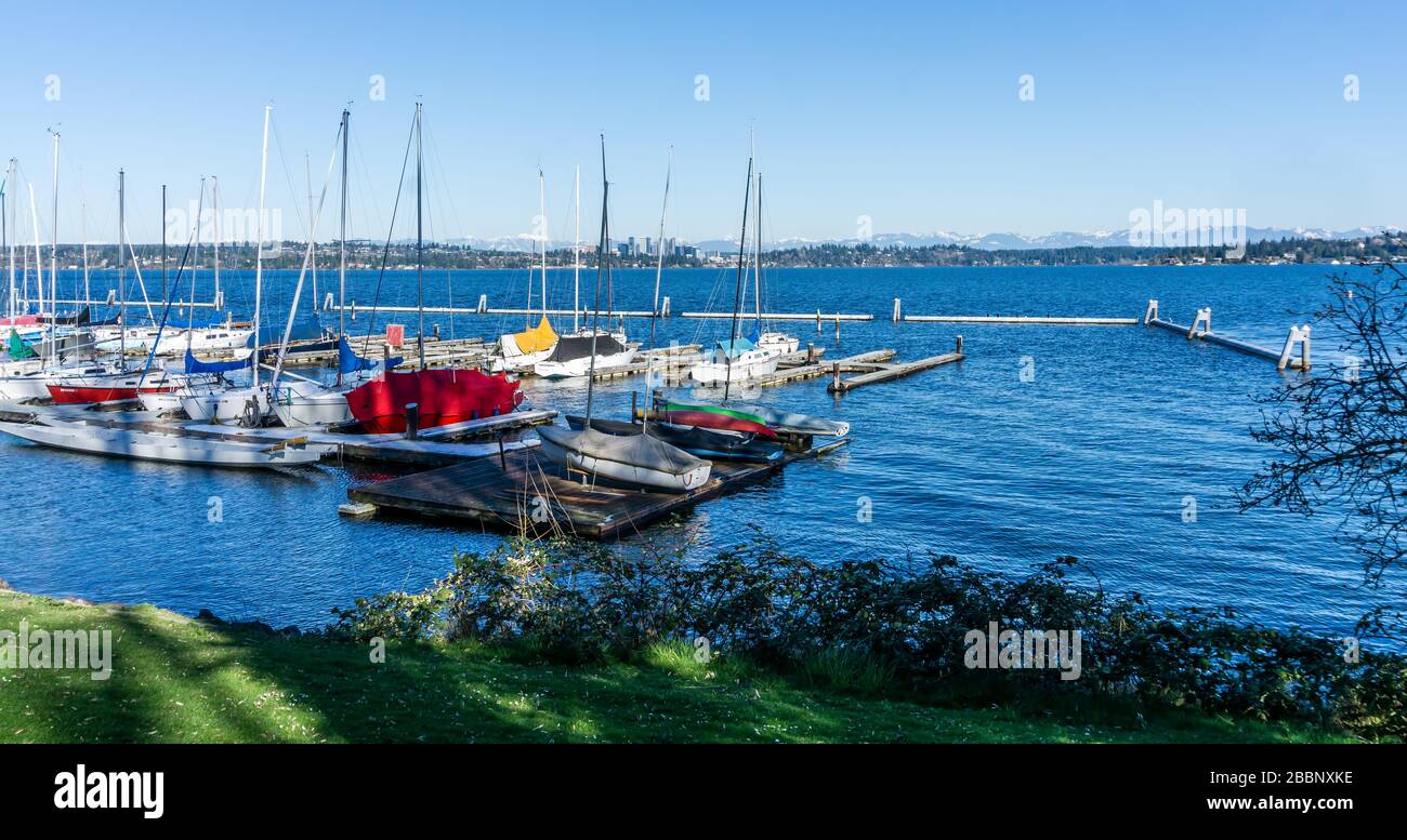 A veiw of the Leschi marina and a view of the Bellevue skyline Stock ...